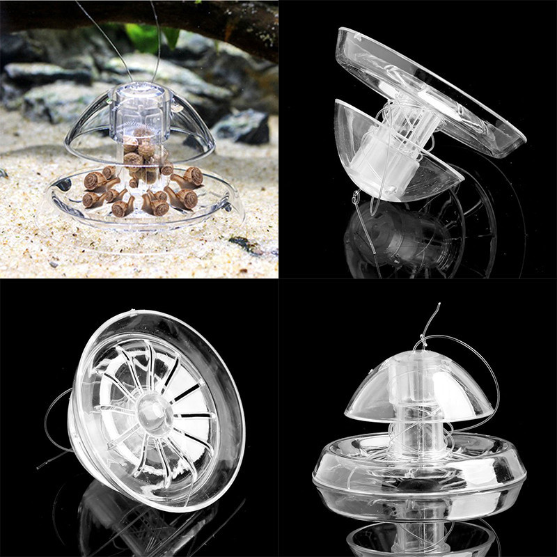 Clear Snail Trap Aquarium Fish Tank Plants Environment Planarian Leech ...