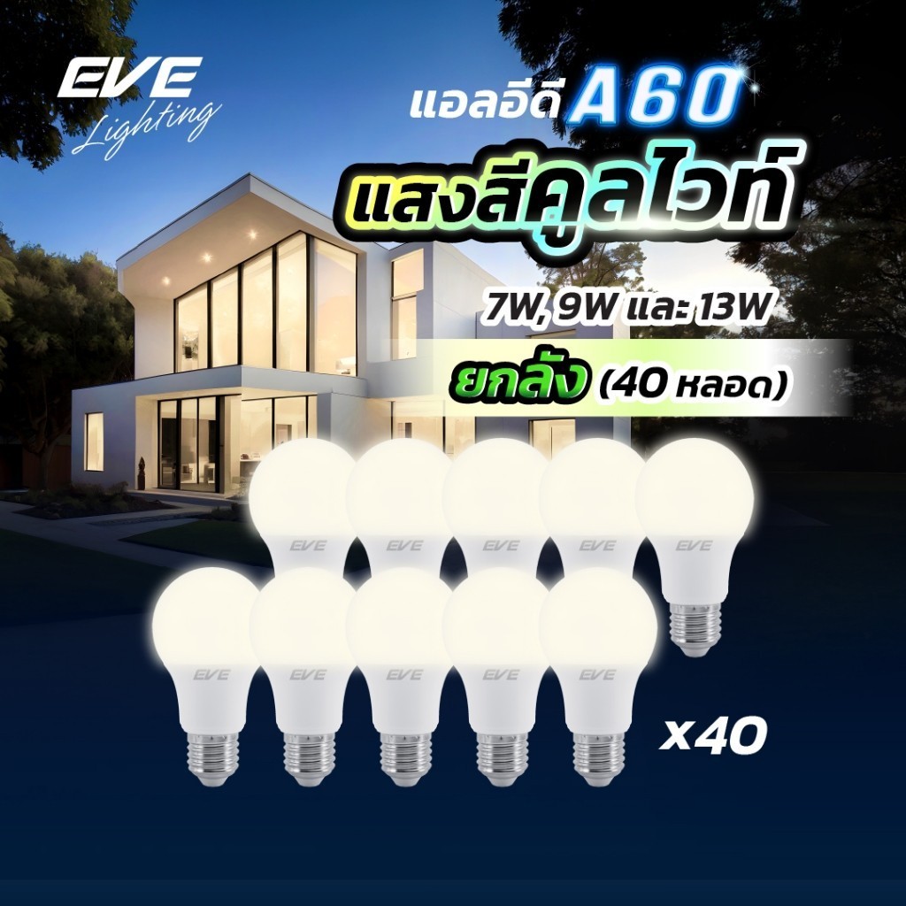 EVE (Carton Of 40 Bulbs) Led Bulb A60 Size 7 9 And 13w Warm White Cool ...
