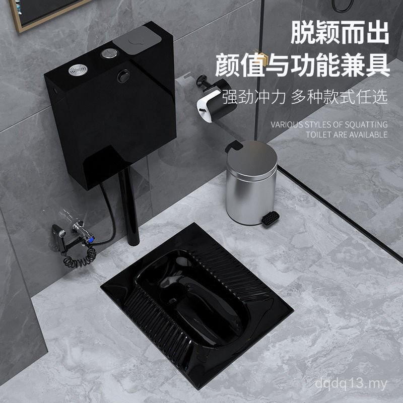 Induction Squatting Toilet Water Tank Set Household Toilet Squatting ...