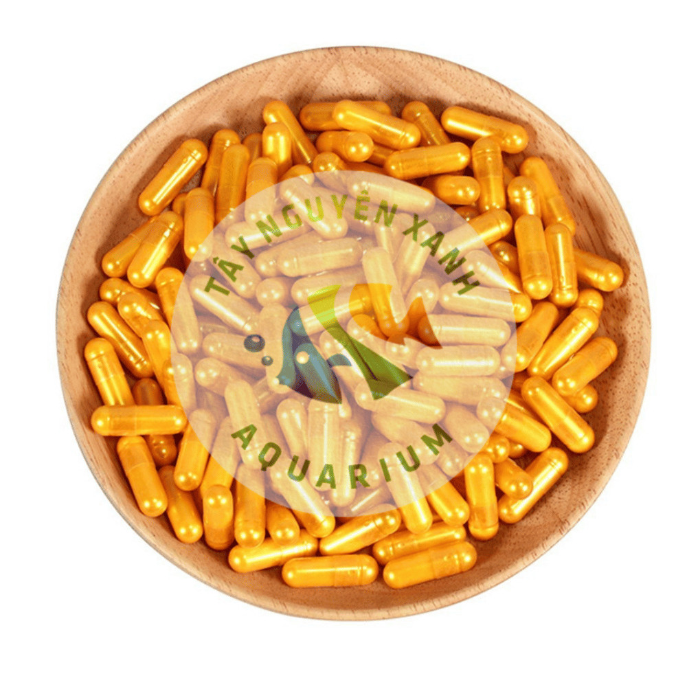 50 Microbial tablets to regenerate microflora for fish tanks FAST ...