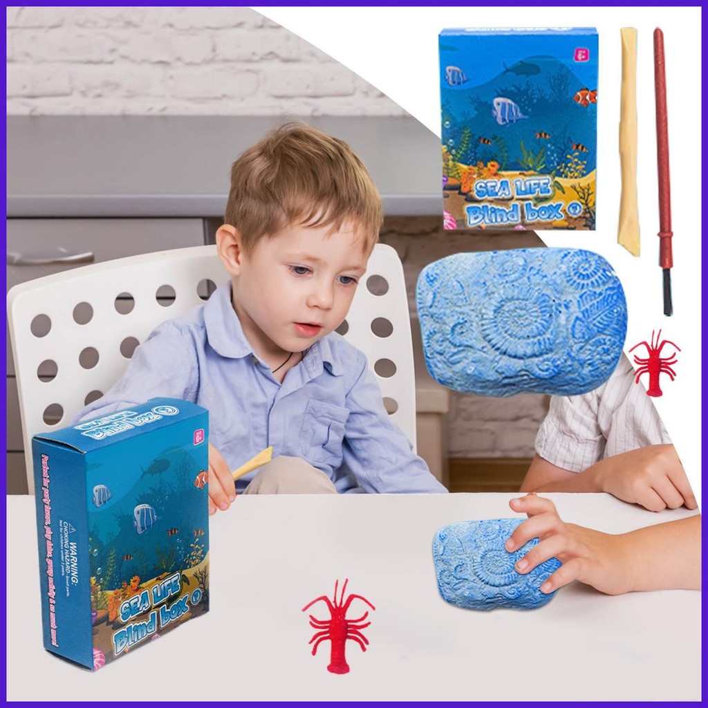 Ocean Animal Dig Kit STEM Educational Activity Set Science Geology Set ...