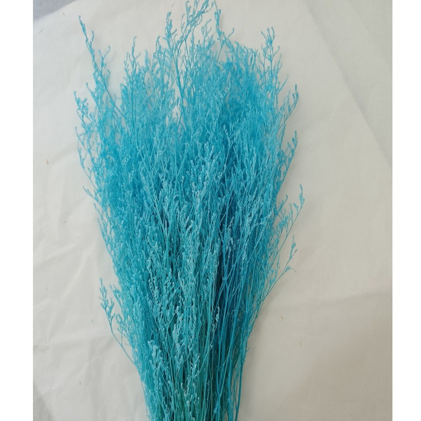 Real Dry Pampass Grass Caspia Limonium Kering Dried Flower Flowers Shopee Malaysia