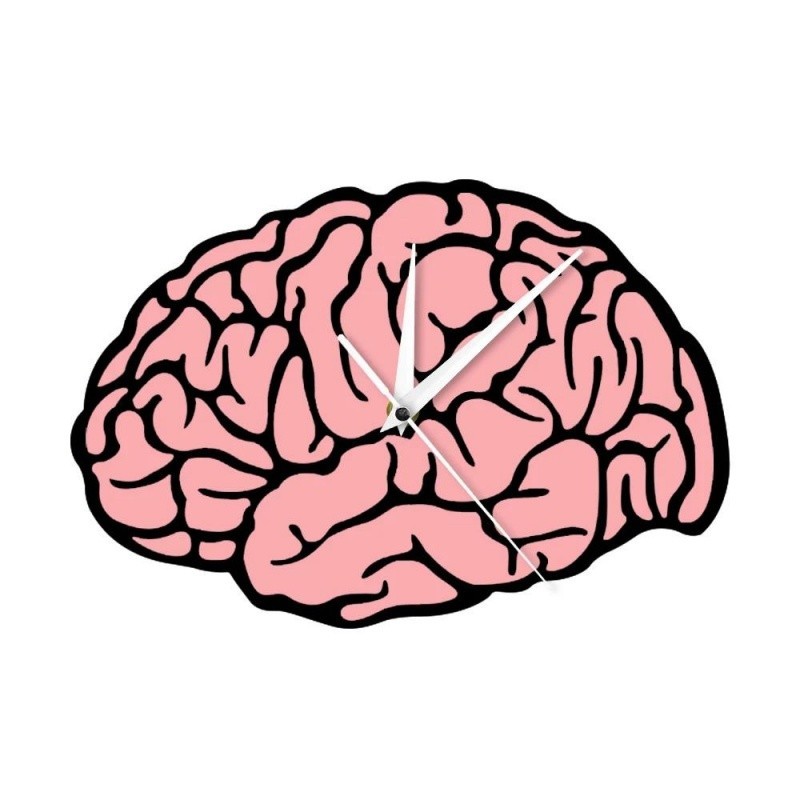 Brain Wall Clock Neurological Science Psychology Body Partial Organs ...
