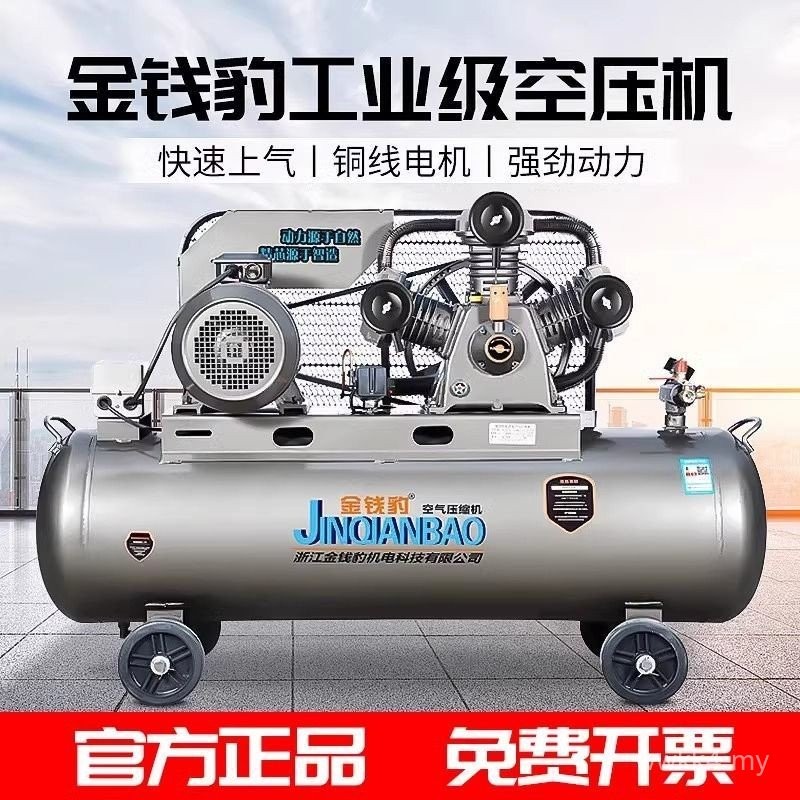 Leopard Air Compressor Large Industrial Grade Factory Silent Belt Type ...