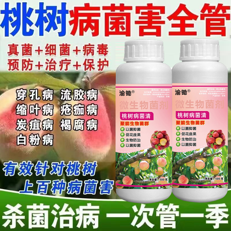Peach Tree Germ Scab Clearing Anthrax Root Corrod White Silk White ...