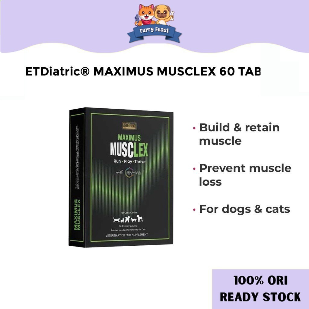 PETdiatric MAXIMUS MUSCLEX 60 TABLETS Muscle Relief Cat Supplement Dog ...