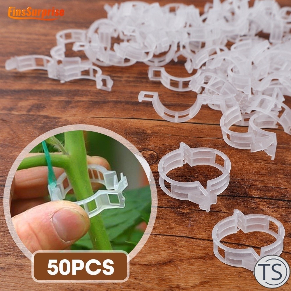 TS Green Plant Climbing Fixture Clamps / 50Pcs Vegetables Vine Clips ...