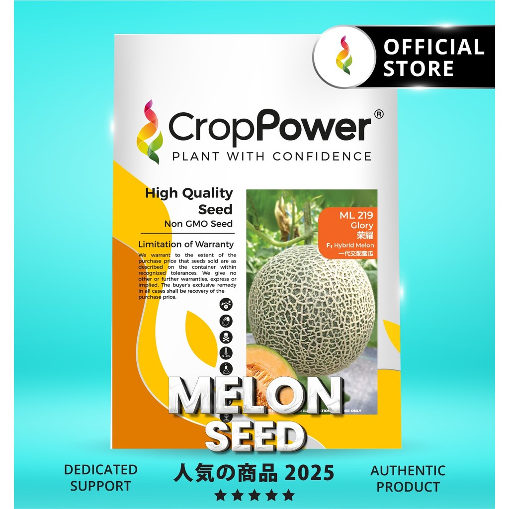 (100 SEEDS) Biji Benih Rock Melon Glory 荣耀 ML219 CROP POWER F1 HYBRID ...