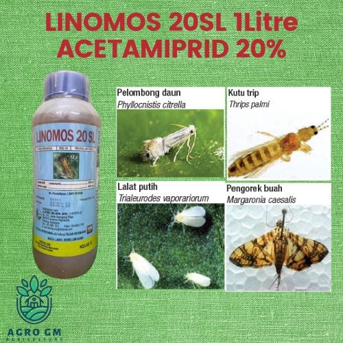 [STOCK CLEARANCE] Bena Hijau,Nyamuk Hijau,Empoasca Fabae,青蚊 Linomos ...