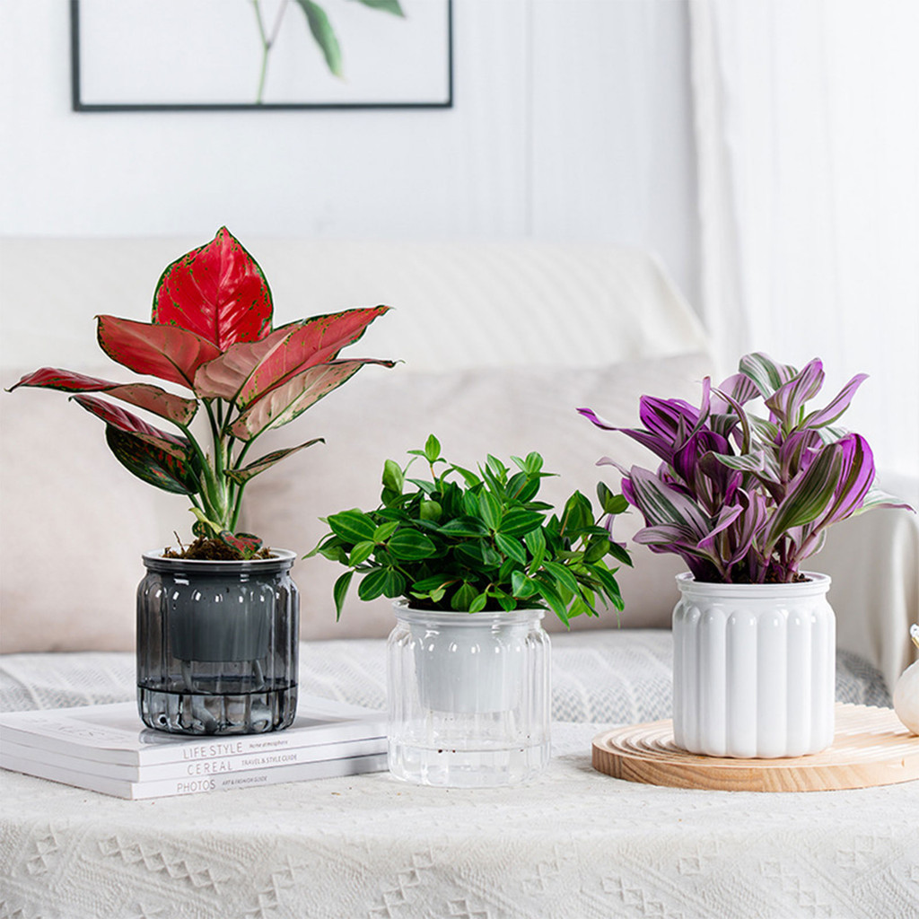HG Self Watering Plant Pot Transparent Plastic Flower Pot Double-layer ...