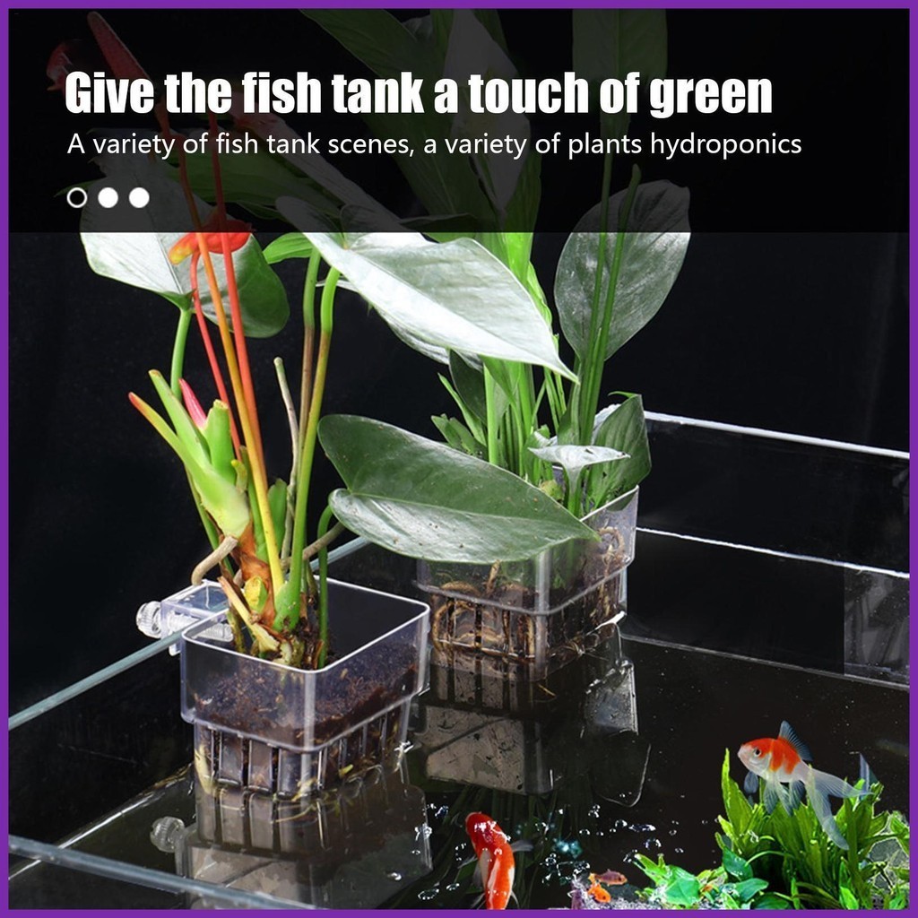 Aquarium Aquatic Plant Pot Aquarium Planter Cup with Hook Fish Tank ...