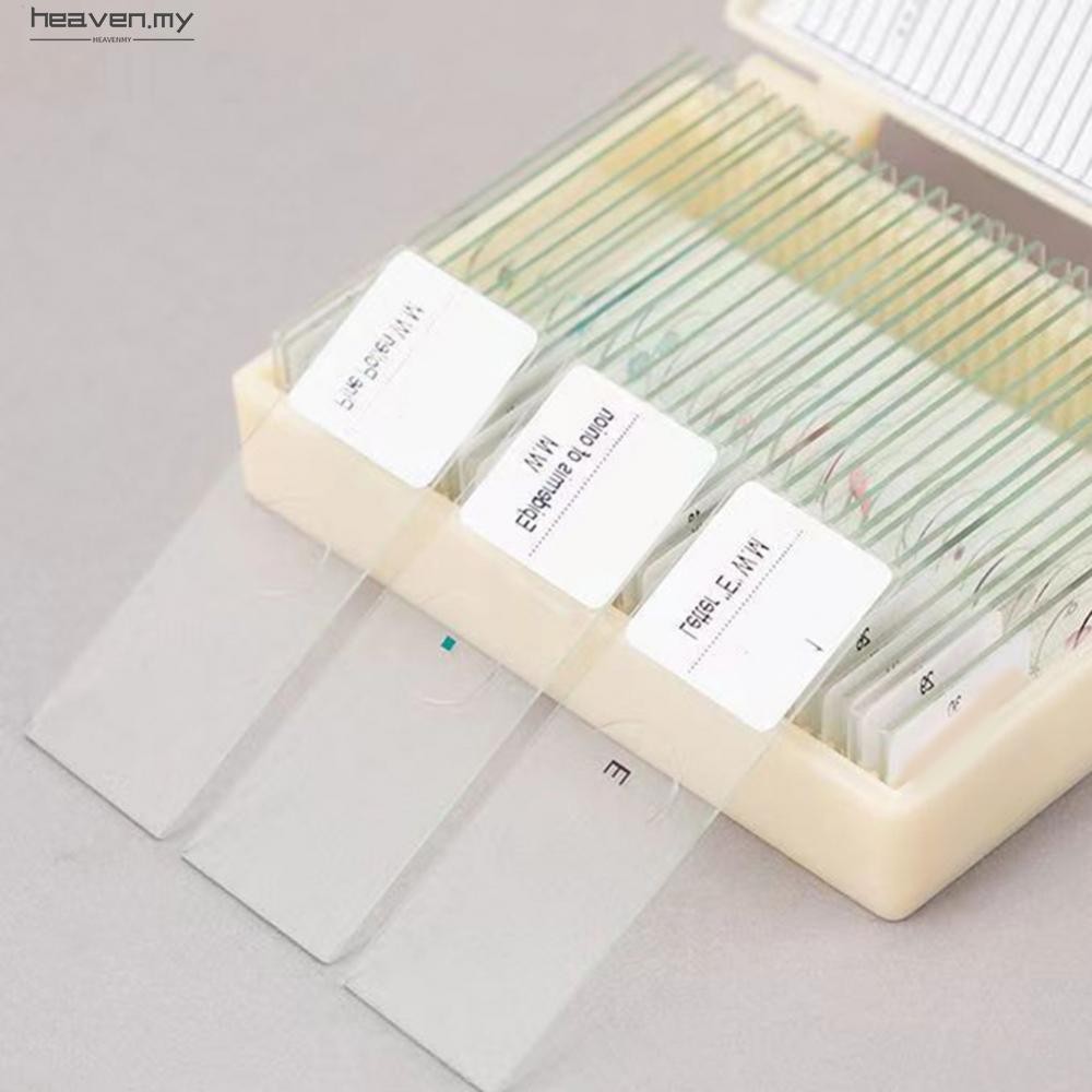 Glass Preparation Microscope Slides Set with Fungi and Plant Specimens ...