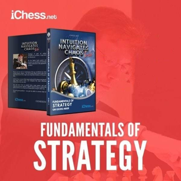 PREMIUM!! CHESS VIDEO Fundamentals of Strategy with GM Georg Meier (MP4 ...