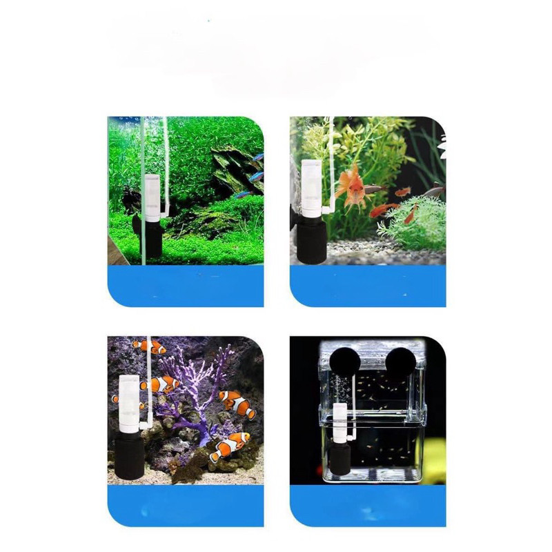 OXY Mini Oxygen Effervescent Bio Filter Creates Microbiology for ...