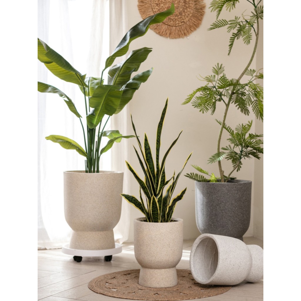 Lumpur Magnesium Nordic Pasu Bunga Kaca Tinggi Pokok Wang Penanam ...