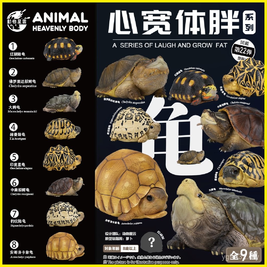 Animal Nebula Heart Wide Body Fat 22 Bombs Big Snapping Tortoise Star ...