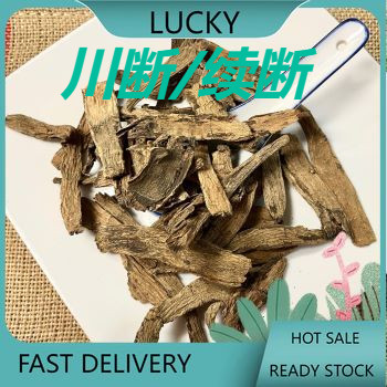 川断/续断/六汗 Himalayan Teasel Root 100g+- | Shopee Malaysia