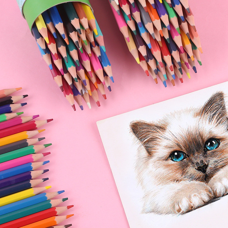48/36/24/18/12 Colors Colored Pencils for Adult Coloring Books, Soft ...