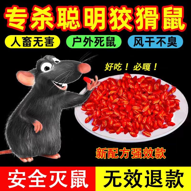 Outdoor rat poison is highly effective and effective to kill rats, and ...