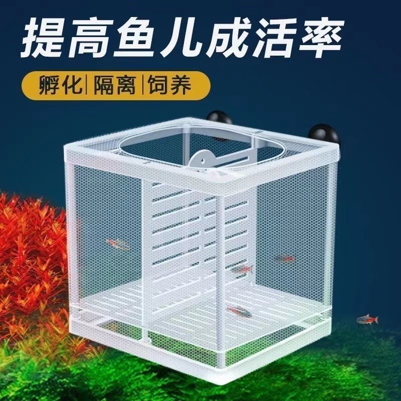 Fish Tank Isolation Box Guppy Breeding Box Handy Tool Small Fry ...