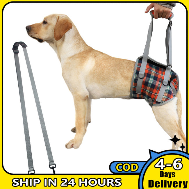 In Stock Pet Dog Leg Support Sling Adjustable Retractable Breathable ...