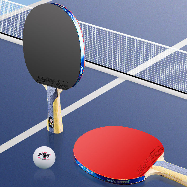 DHS Professional Table Tennis Racket 5678 Star Ma Long Racing Single ...