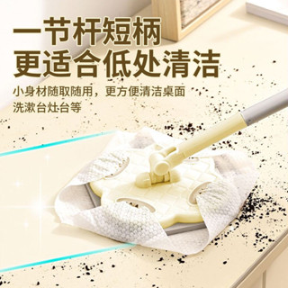 Use a flat mini mop for hands-free washing Face Towel mop Disposable ...