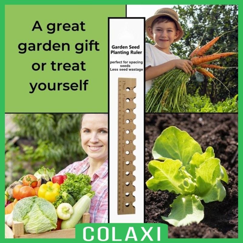 [Colaxi] Wooden Plant Ruler ,Wooden Plant Seed Spacing Seed Spacer Tool ...