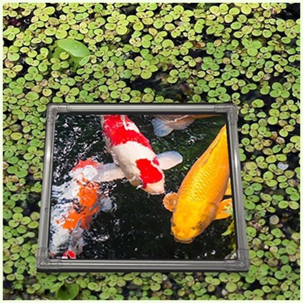 Floating Plant Corral Square Aquarium Decor Floating Plants Corral ...