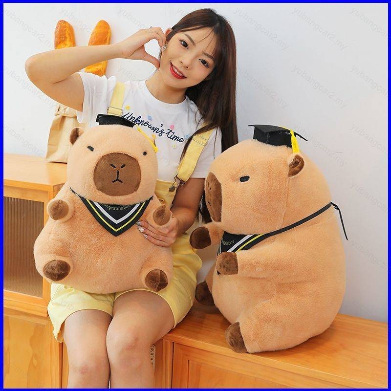11111 Court academician Capybara Graduation Gifts for girl plush doll ...