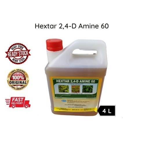 Hextar Amine 60 Herbicide/ Dimethylammonium 60%/ Racun Rumput Rumpai ...