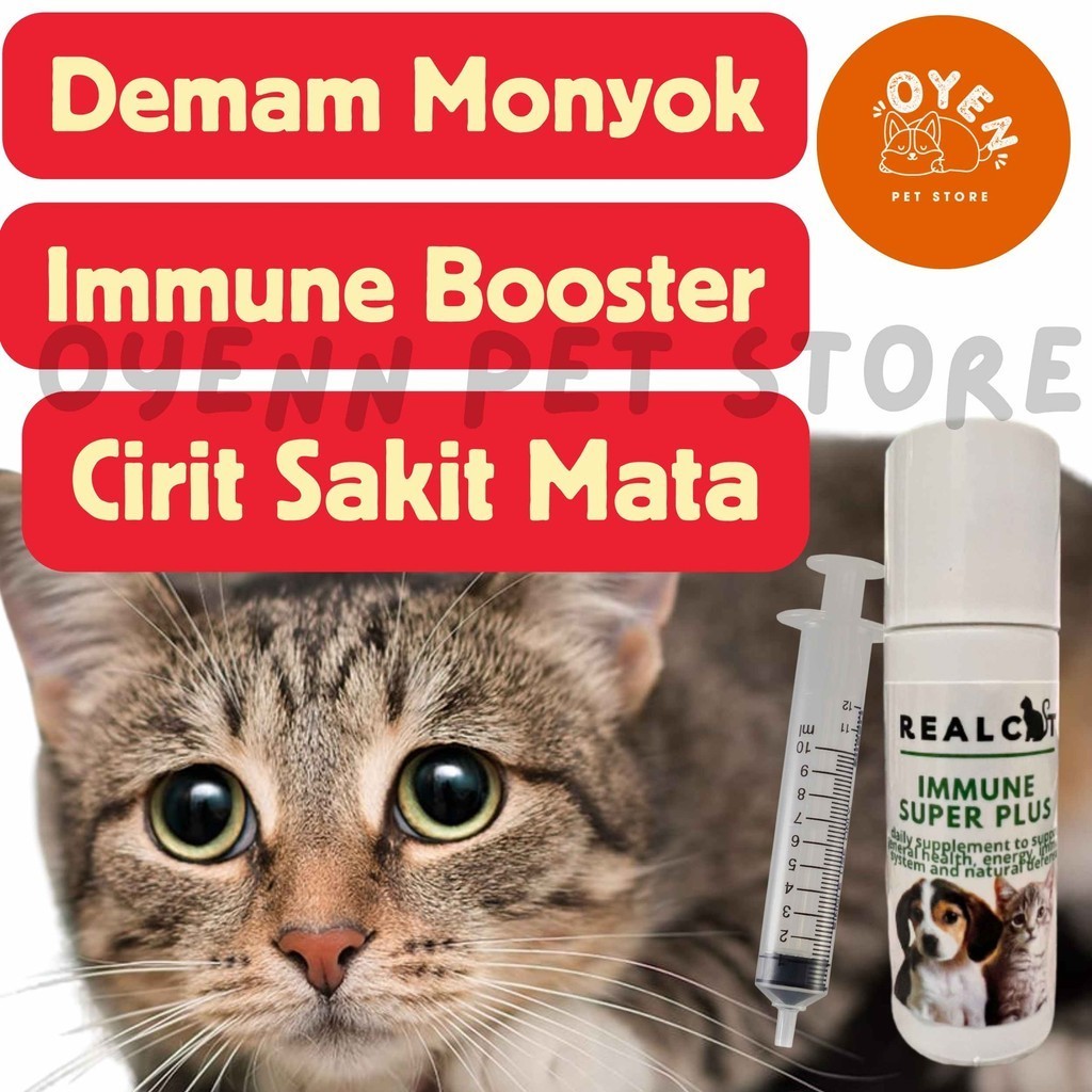 OYENN Ubat Demam Immune Booster Kucing Cirit Sakit Mata 30ml | Shopee ...