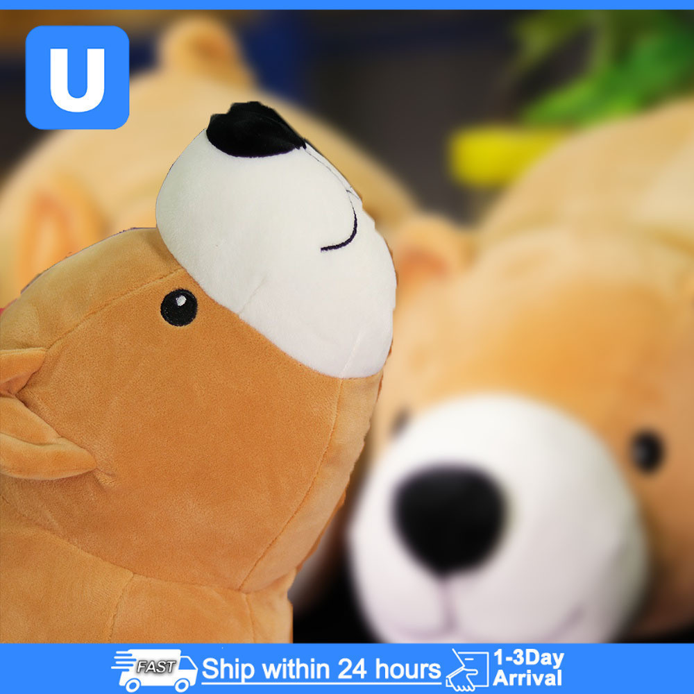 Cute Plush Toy Lovely Bear Toy Birthday Gift Kids Baby Soft cloth Toy ...