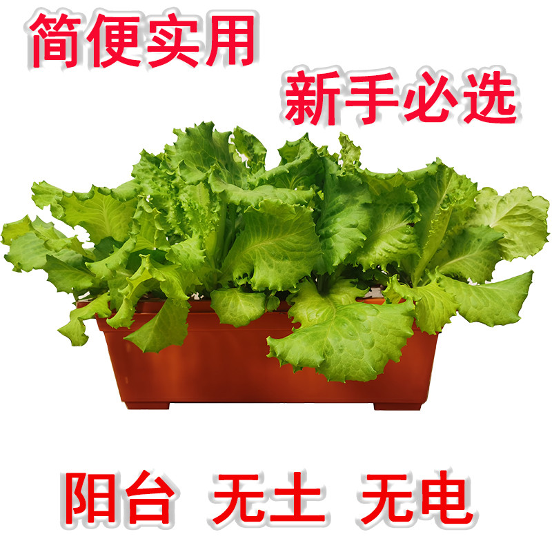 Balkoni Rufeng Penanaman Tanpa Tanah Hidroponik Sayuran Bunga Pasu ...