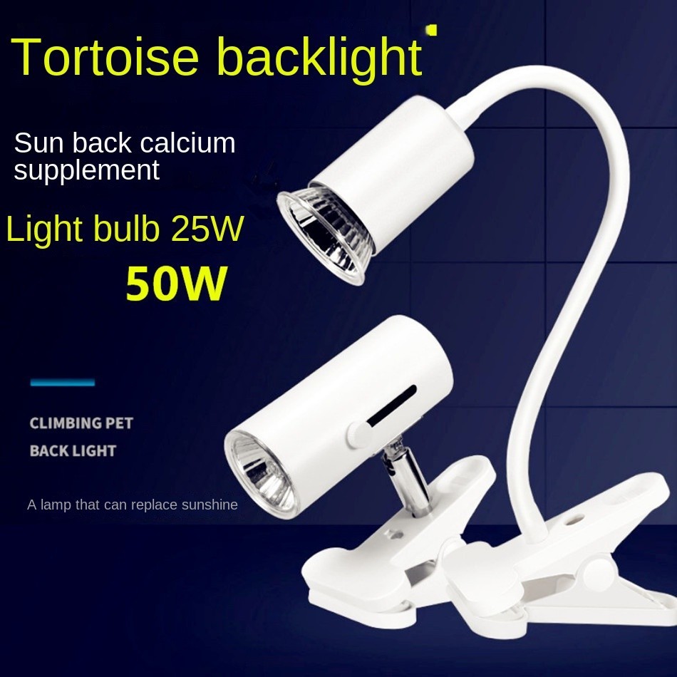 Tortoise Light Back Light Sun Light Tortoise Heating Bulb Heat ...