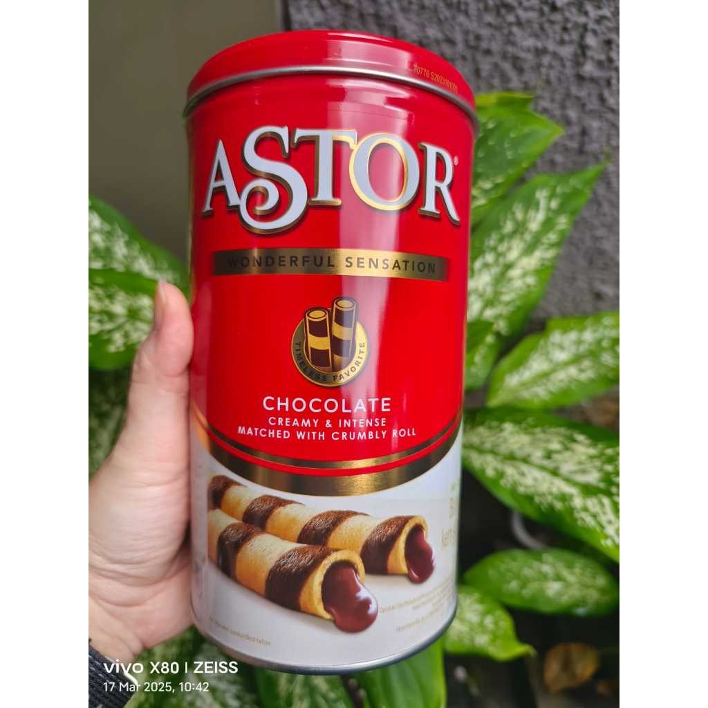 ASTOR Wafer Sticks Chocolate cans 330 gr | Shopee Malaysia