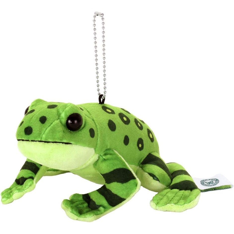 Karolata Stuffed Animal Mascot Okina Waishikawa Frog (with Yanbaru ...