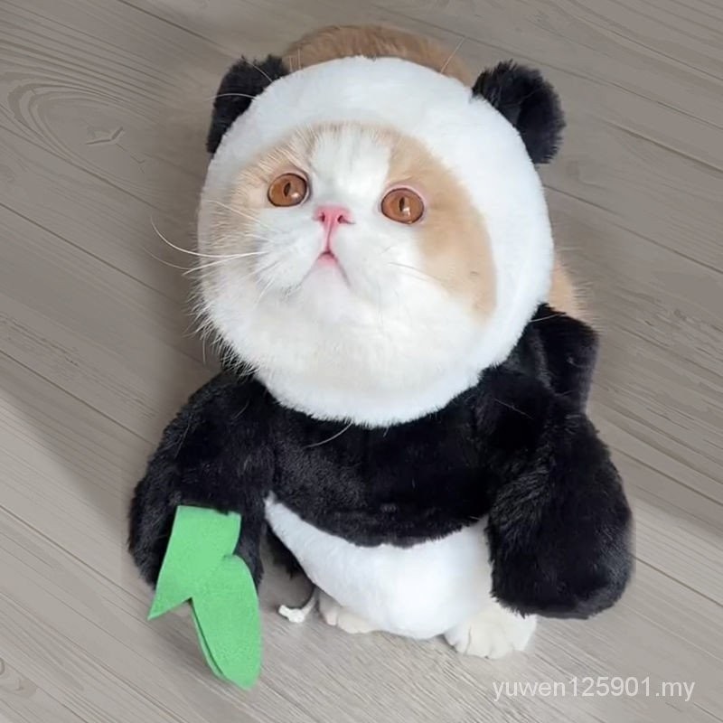 Panda Cross-Dressing Puppy Super Cute Panda Clothes Pet Funny Cat ...
