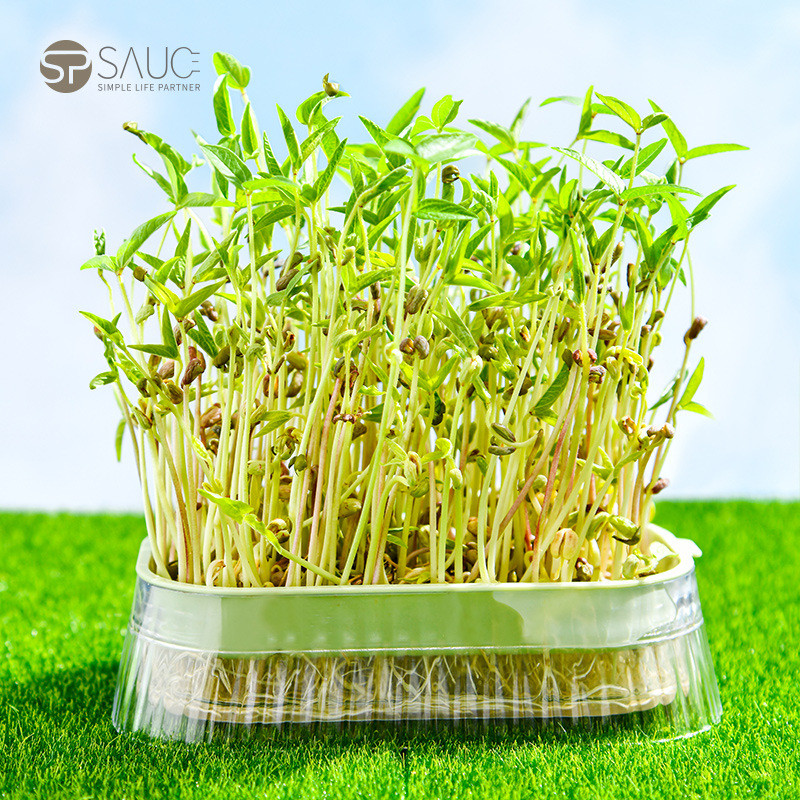 Bean Sprout Germination Pot Hydroponic Vegetable Pea Sprout Planting ...