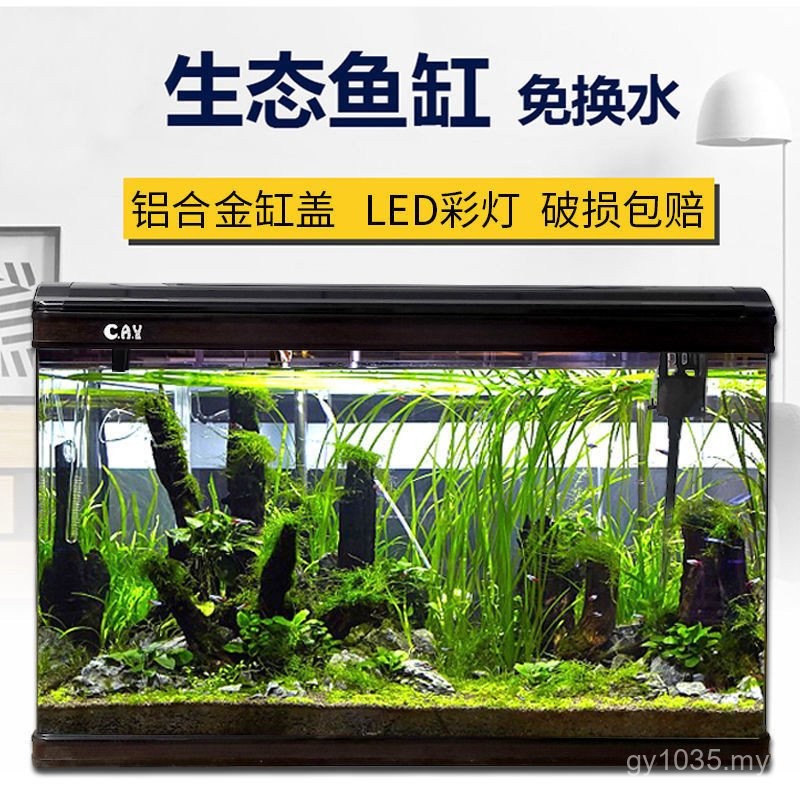 Medium Fish Tank Goldfish Tank Aquarium Water-Free Large Rectangular ...