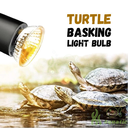 Turtle Basking Light Bulb 25w/50w/75w UVA UVB 3.0 Pet Reptile Tortoise ...
