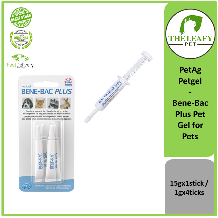 PetAg Petgel Bene-Bac Plus Gel for Pets - 15g x 1stick / 1g x 4sticks ...