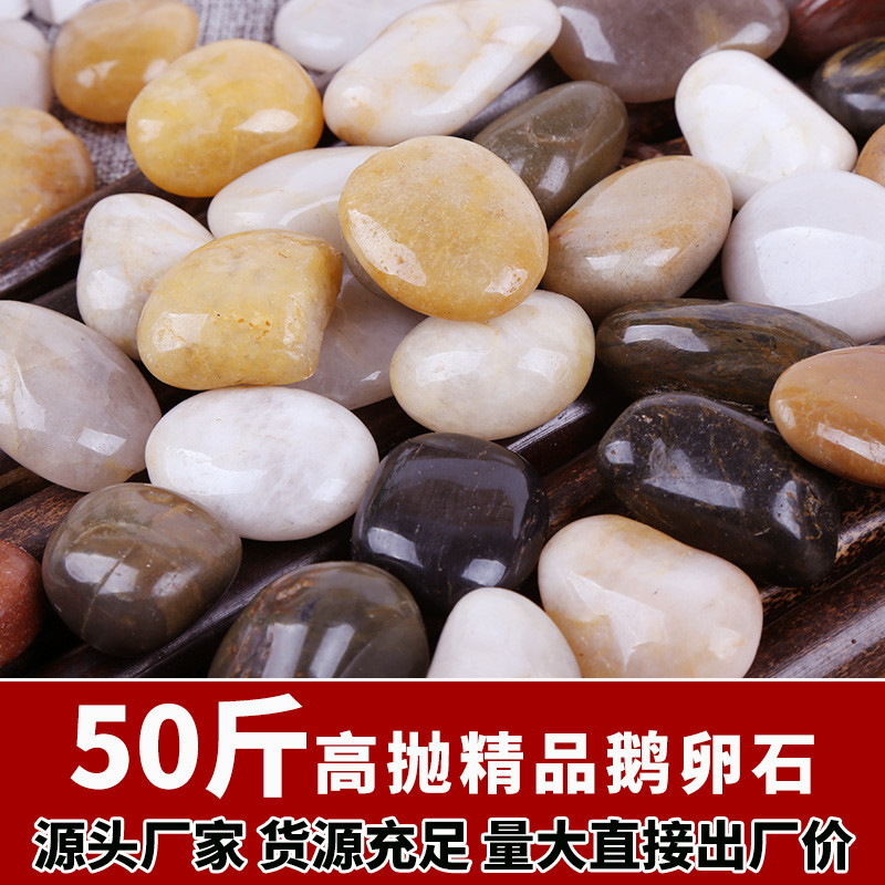 50 Jin Pebbles Hujan Bunga Batu Batu Mentah Batu Asli untuk Tanaman ...