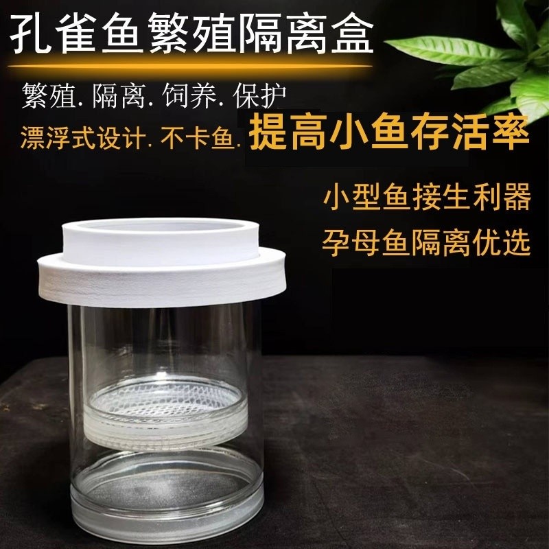 Juvenile Fish Guppy Incubation Tank Isolation Box Small Fish Delivery ...