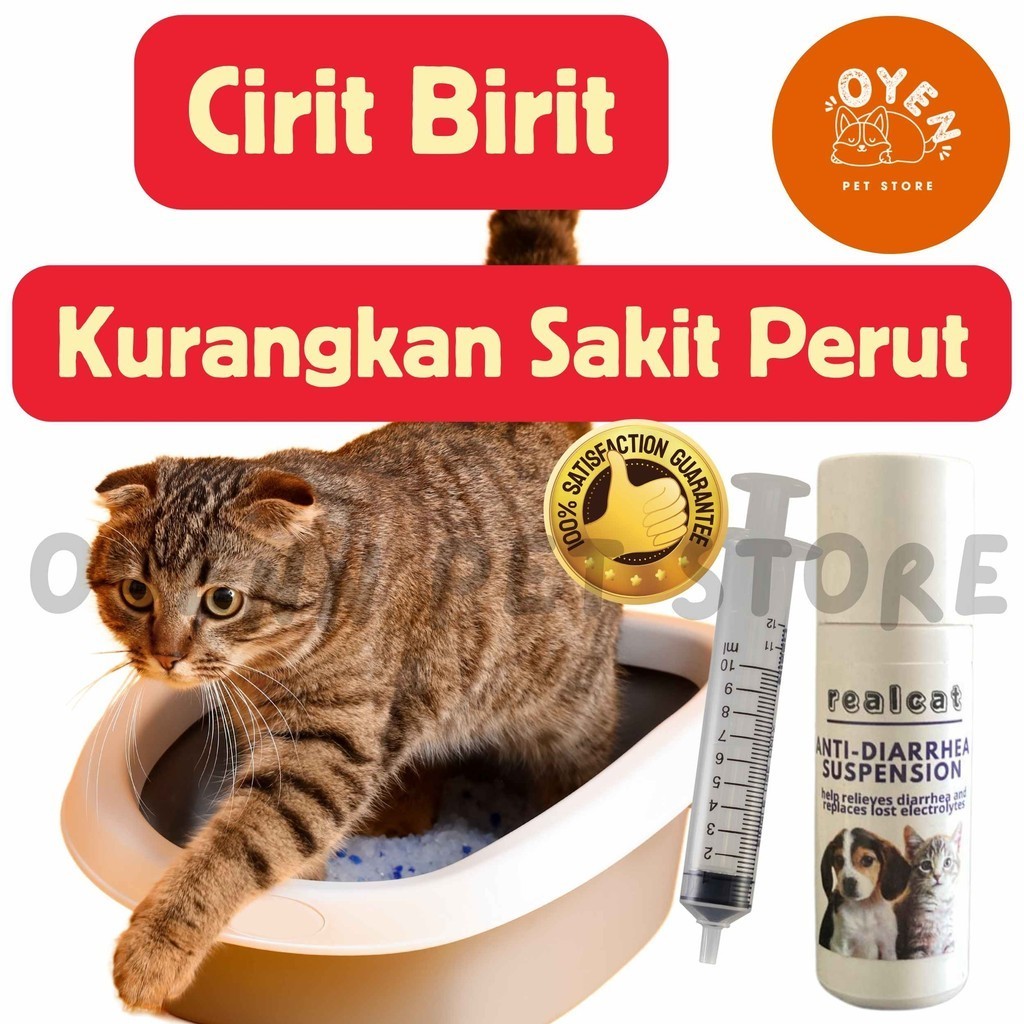 OYENN Ubat Cirit Birit Kucing Cat Anti Diarrhea 30ml | Shopee Malaysia