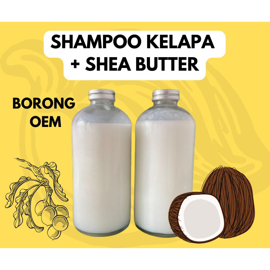 [SHAMPOO KELAPA + SHEA BUTTER]OEM MURAH MENGHILANKAN KELEMUMUR DAN ...