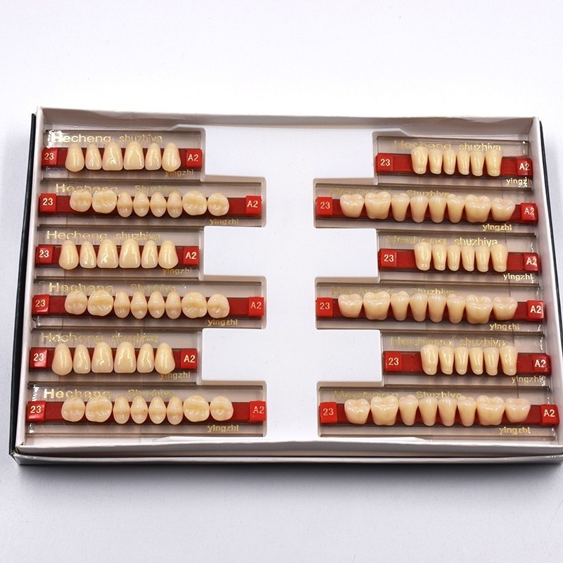 3 Set of 84 Dental Acrylic Resin Denture Teeth VITA Color A2 Upper ...