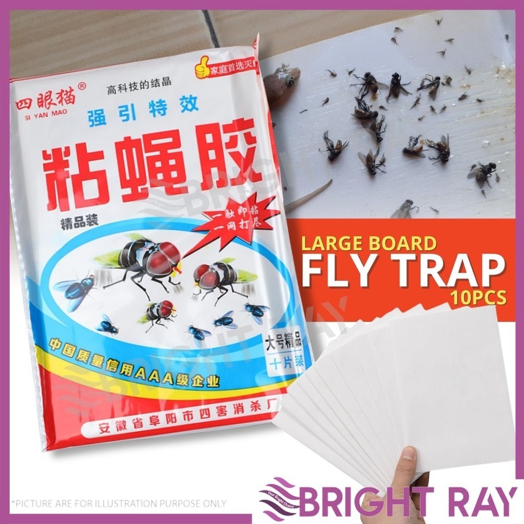 10pcs Fly Trap Glue Board Strips Super Sticky Fly Glue Board Penangkap ...