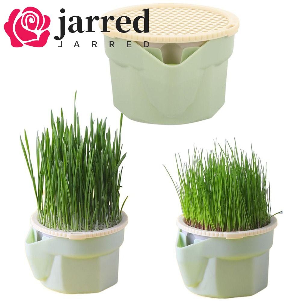 JARRED Cat Grass Box Planter, Hydroponic Easy To Grow Microgreens ...