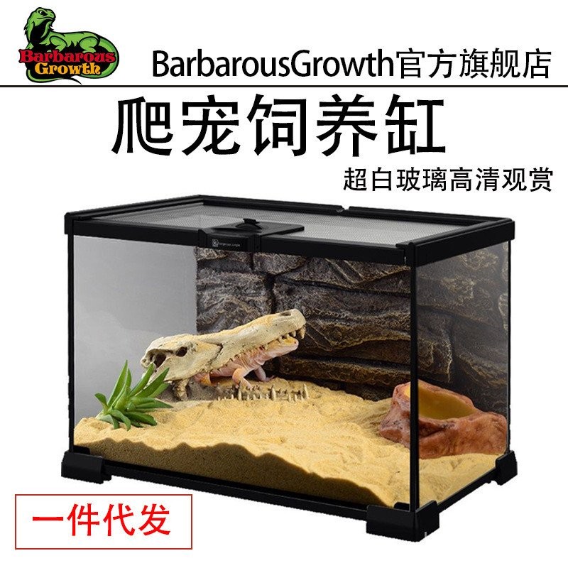 Glass Climbing Box Rainforest Tank Horned Frog Gecko Climbing Tank ...